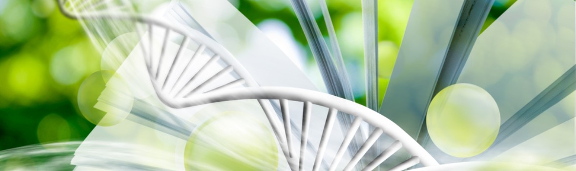 Czech Academy of Sciences - Akademie věd České republiky